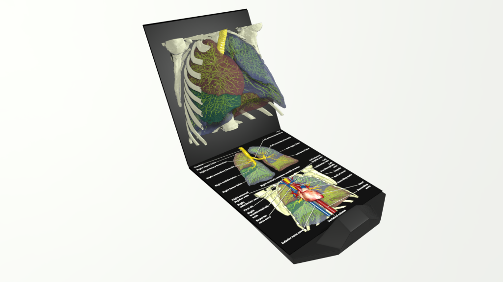 Holographic 3D atlas of human anatomy unveiled | Innovators magazine